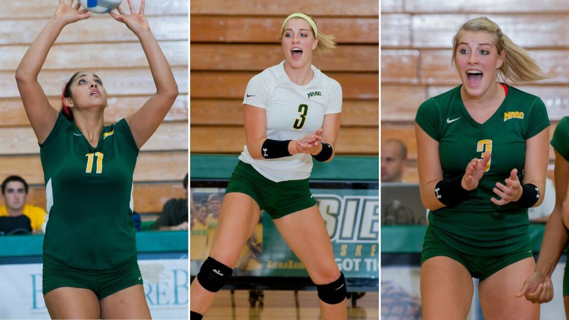 Dominating the Court: Siena College Saints Women Volleyball Athlete ...